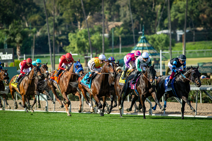 Santa Anita Hosts Three Handicapping Tournaments During Memorial Day ...