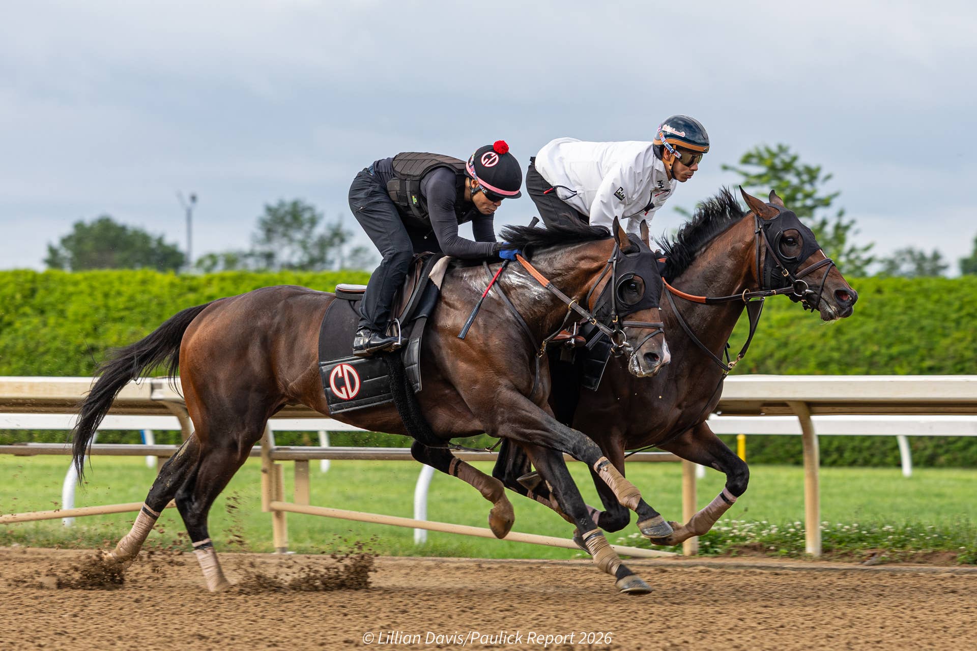 Cherie DeVaux Eyes More Forward Trip For Golden Tempo In Belmont Stakes ...