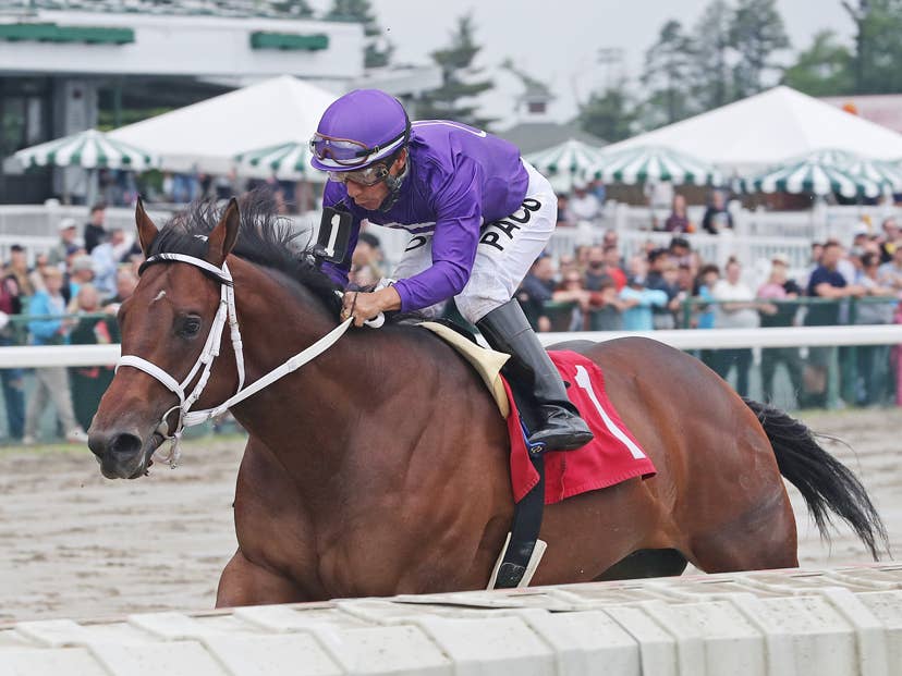 'Just The First Step': Pricey Yearling Regent's Park Romps In Career ...