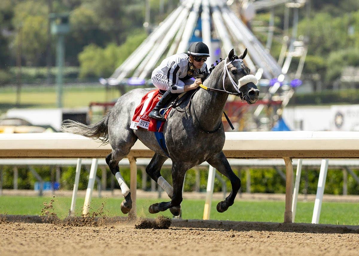 Forged Steel Ships In, Dominates Santa Anita's Hollywood Gold Cup ...