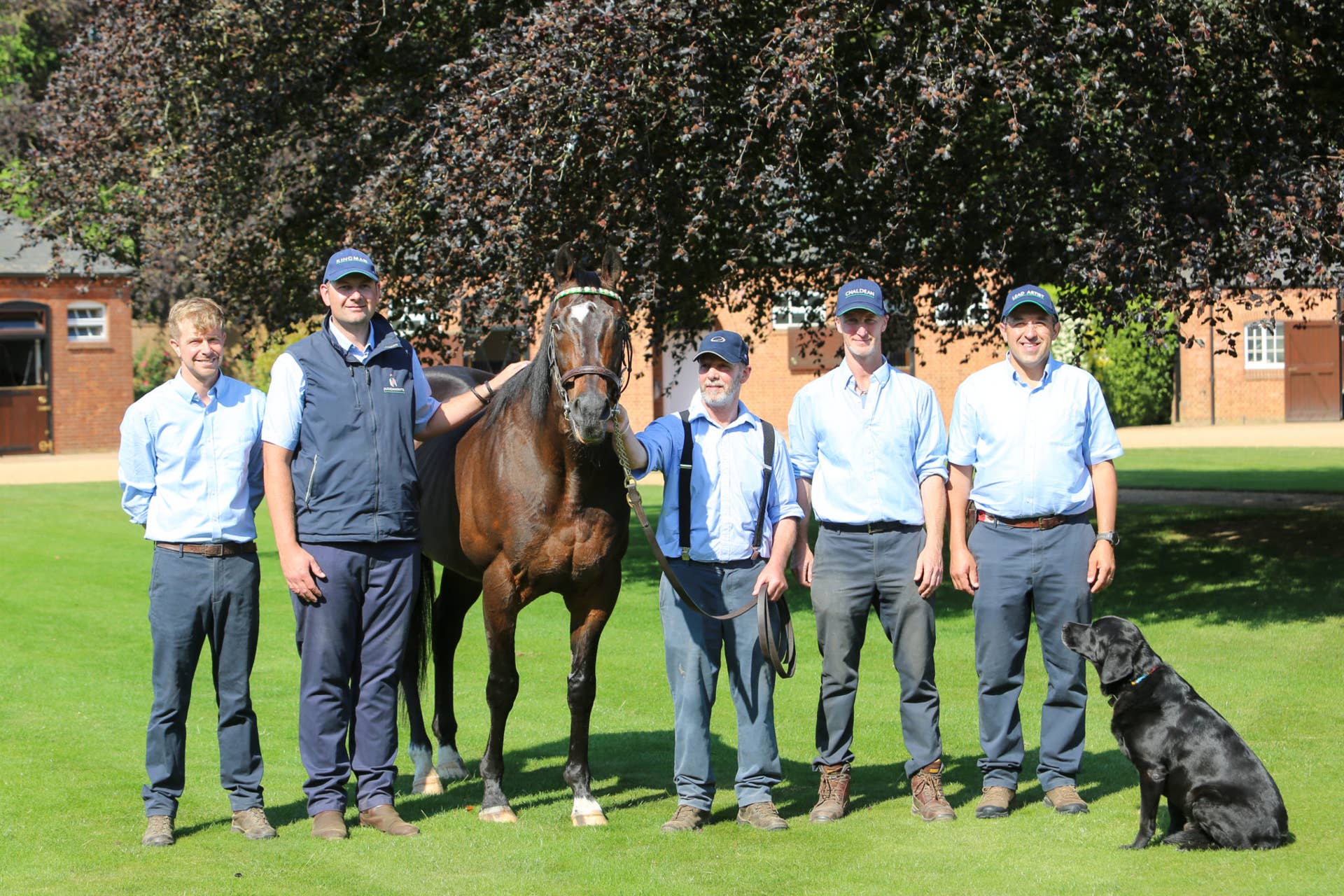 Top Juddmonte Stallion Oasis Dream Pensioned After 23 Breeding Seasons ...