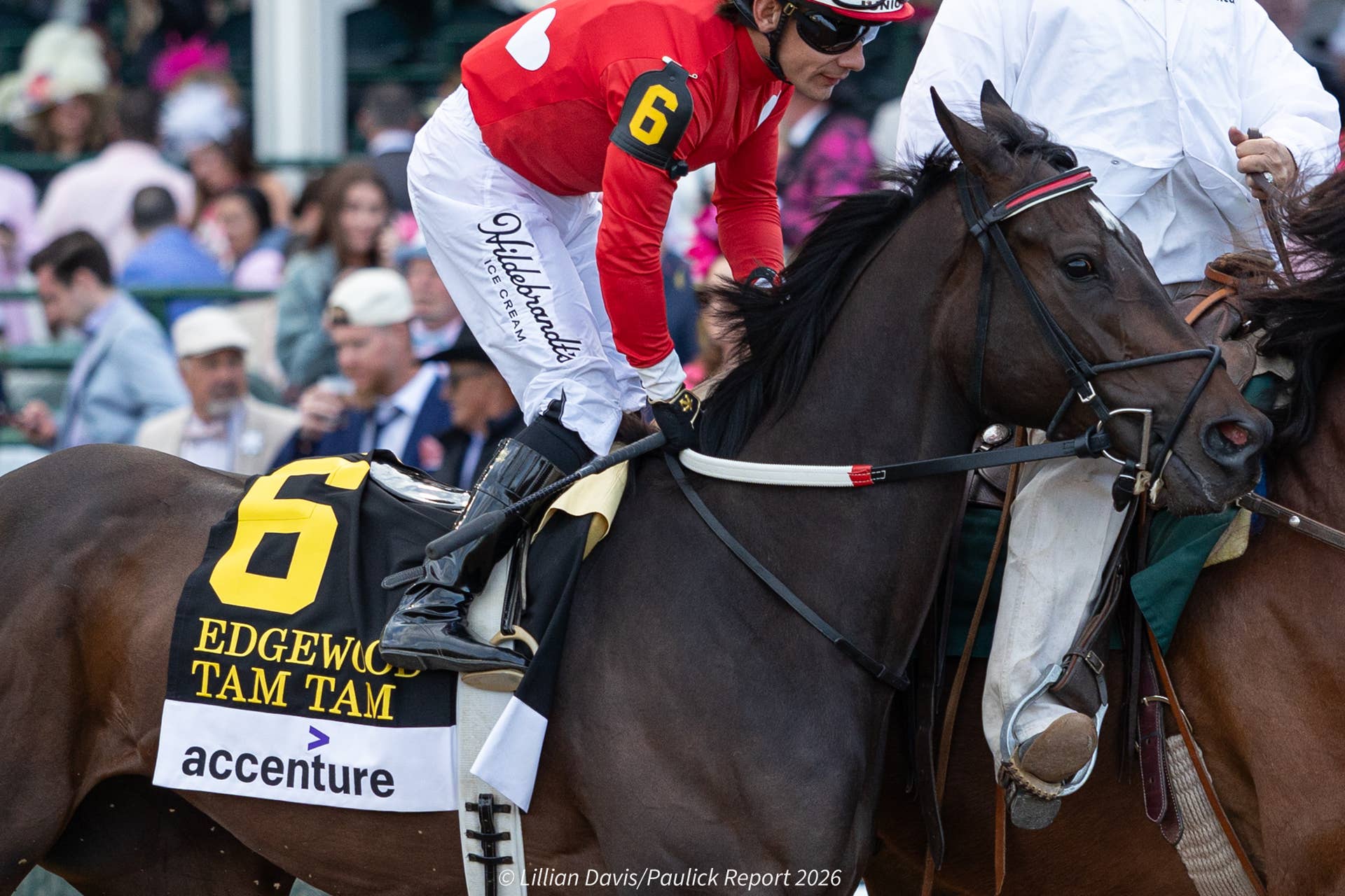 Trainer Phil Bauer Hopes Tam Tam Gets Stalking Trip In Regret Stakes ...