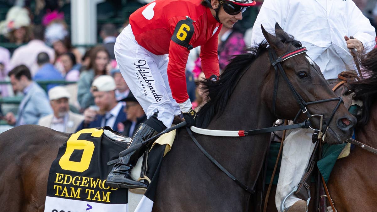 Trainer Phil Bauer Hopes Tam Tam Gets Stalking Trip In Regret Stakes ...