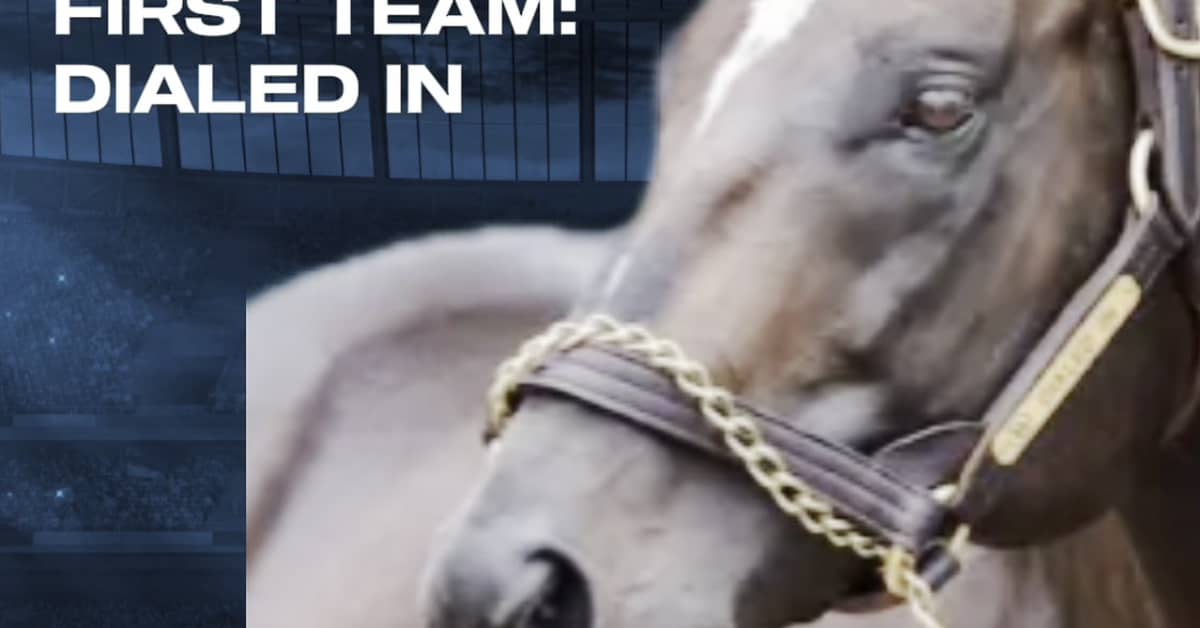 Meet The 2023-24 All-Value Sire Team: Dialed In - Paulick Report ...