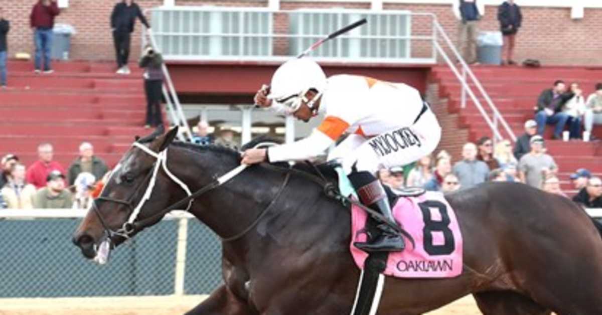 'This Horse Is The Real Deal': Staton Flurry Excited About Southwest ...