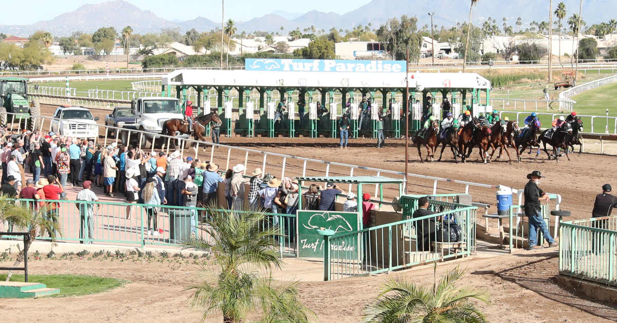 Turf Paradise Could Have New Operator In Coming Months - Paulick Report ...