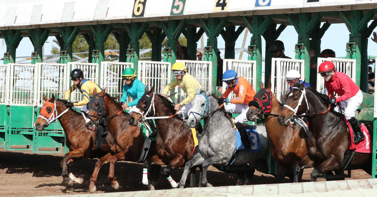 Arizona Racing Commission Approves Tom Ludt As New GM At Turf Paradise ...