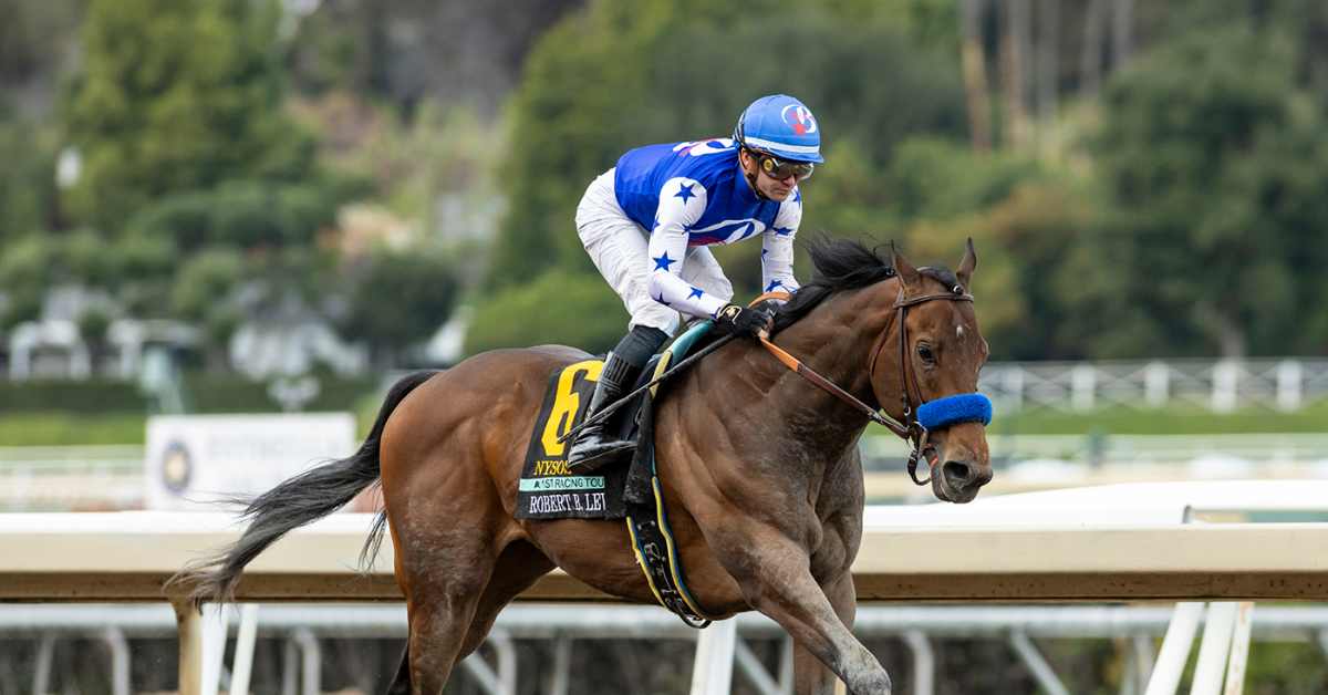 Undefeated Nysos Dominates Robert B. Lewis Field - Paulick Report ...