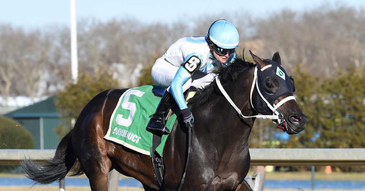 Super Chow Leads Every Step To Win Toboggan - Paulick Report | Latest ...