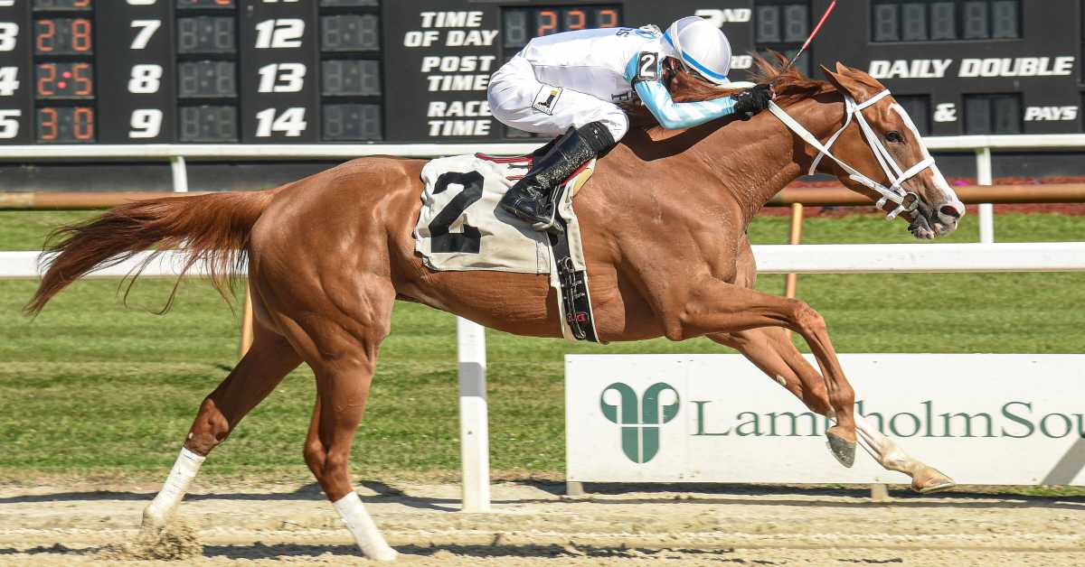 Power Squeeze Rolls To Victory In Suncoast - Paulick Report | Latest ...