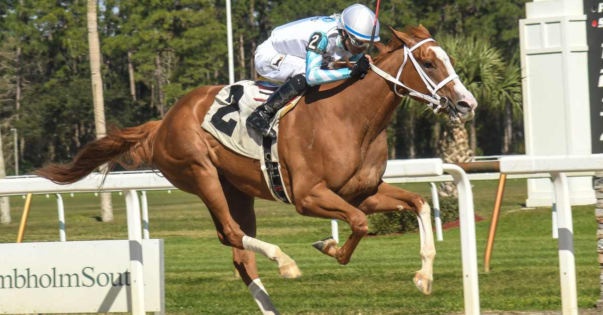 Road To The Kentucky Oaks: Suncoast Victress Power Squeeze Aimed For ...