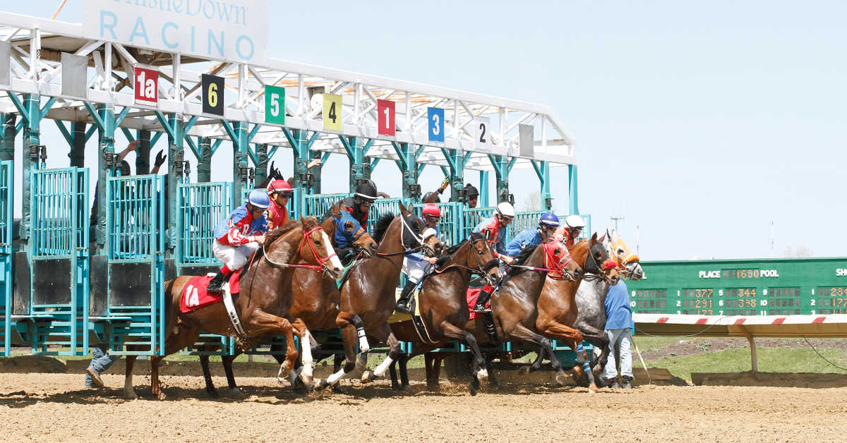 Rocks On Racetrack? Jockeys Force Tuesday Cancellation At Thistledown ...