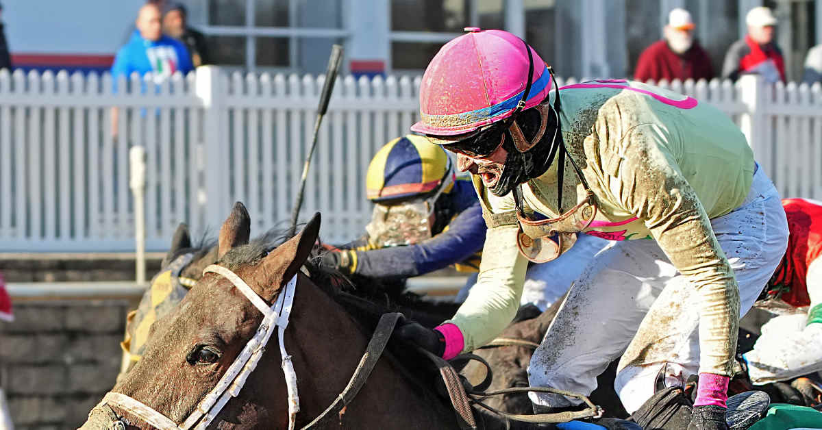 Apple Picker Makes The Grade In Barbara Fritchie - Paulick Report ...