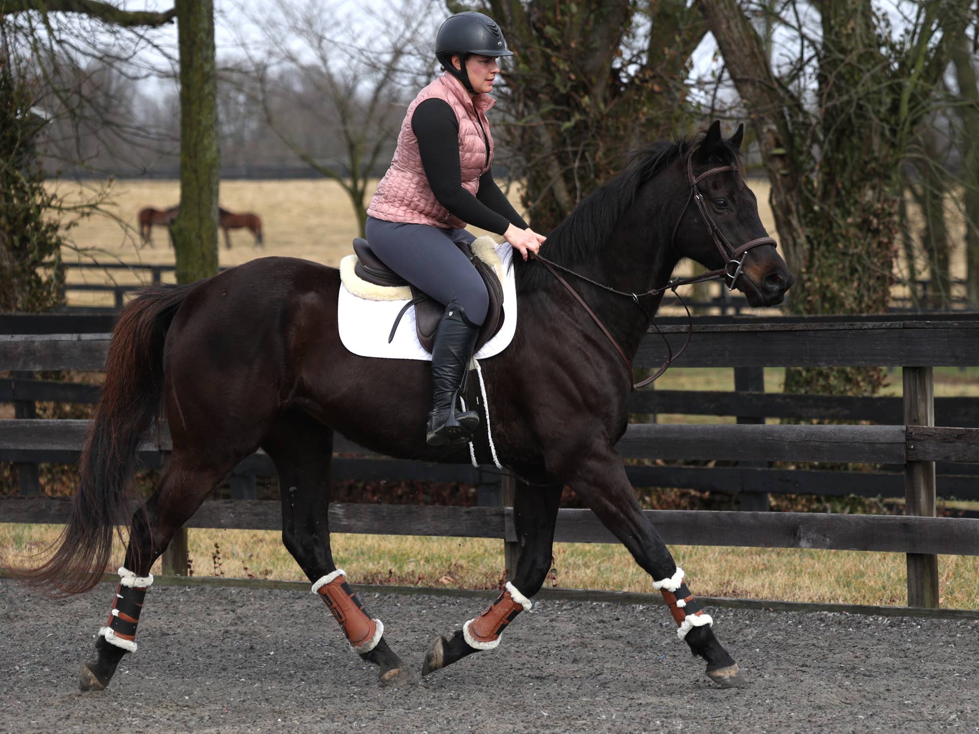 OTTB Training Toolkit Presented by Doc Lane's Veterinary Pharmacy: Your ...