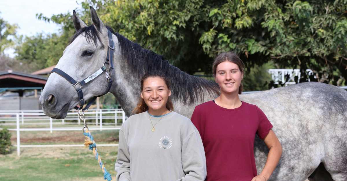 Harris Farms, Santa Anita Announce Scholarship Program To Help OTTB ...