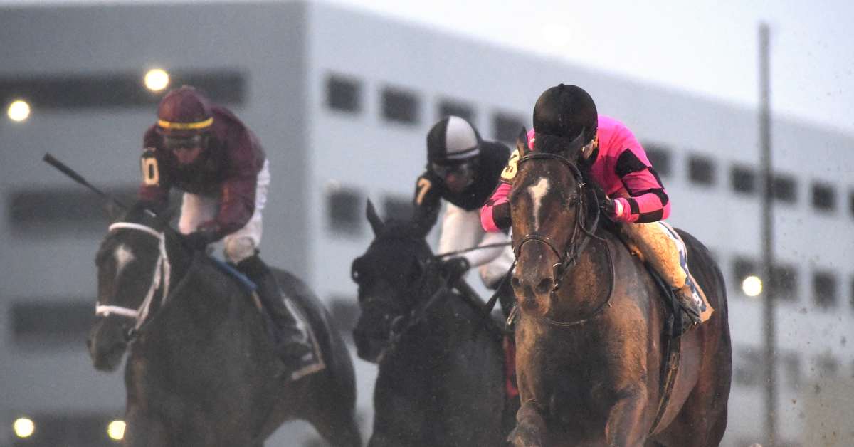 Several Entrants Could Use Peter Pan As Springboard To Belmont Stakes ...