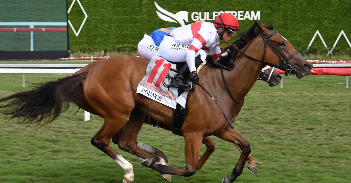 Casse-Trained Sherbini Points To Spinaway, Pounce Probable For Lake ...