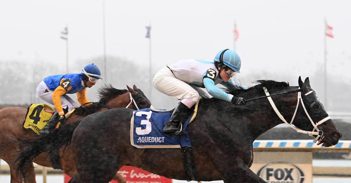 Super Chow Could Aim For Carter Following Tom Fool Victory - Paulick ...