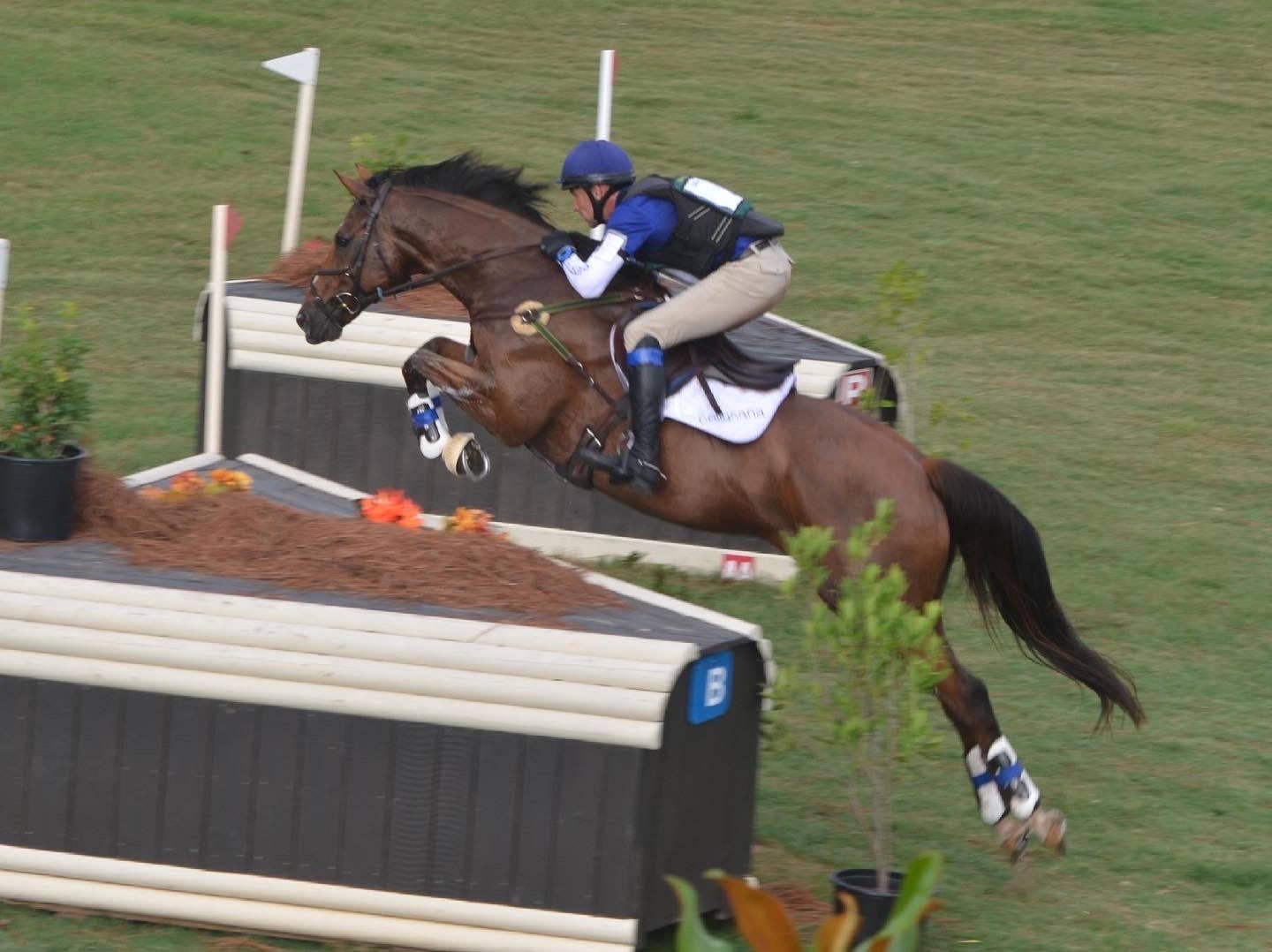 Nick Larkin: New Equestrian Sport Is Perfectly Suited To The ...