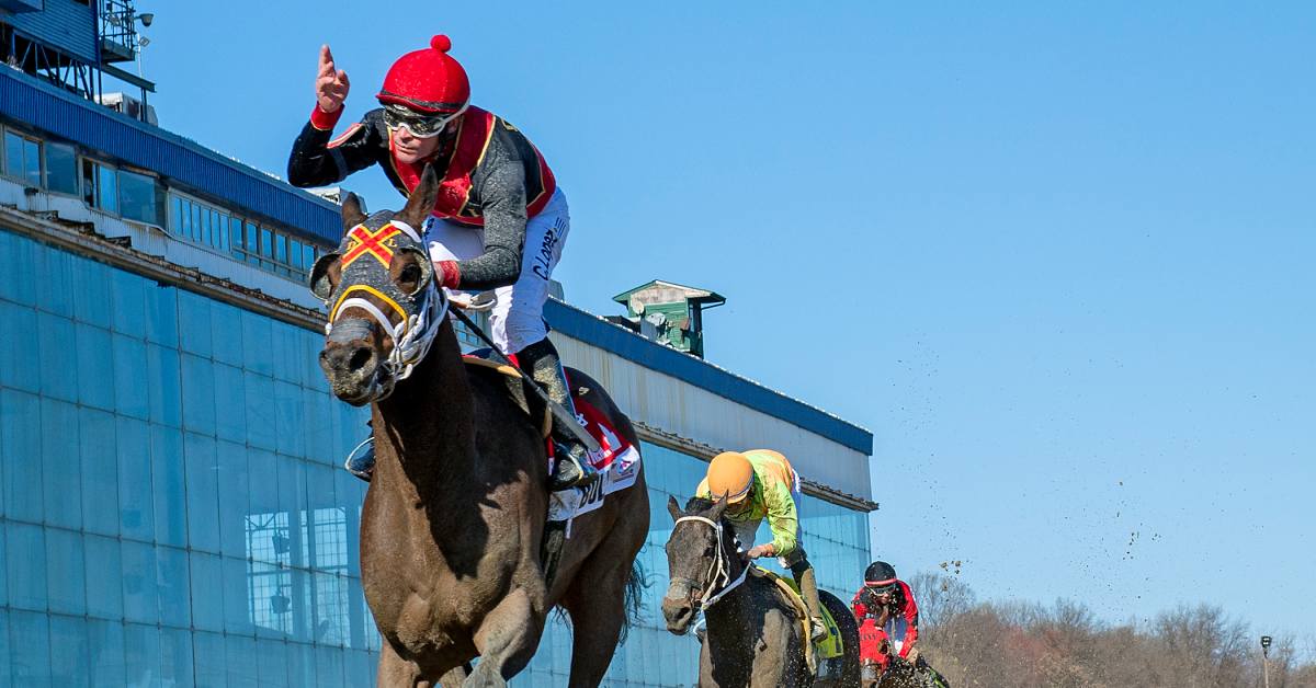 Shaft’s Bullet Fires Off Harrison E. Johnson Victory At Laurel ...