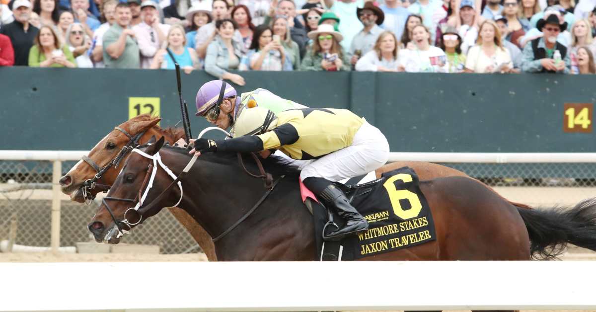 Jaxon Traveler, Stakes Winner In Six Successive Seasons, Retired ...