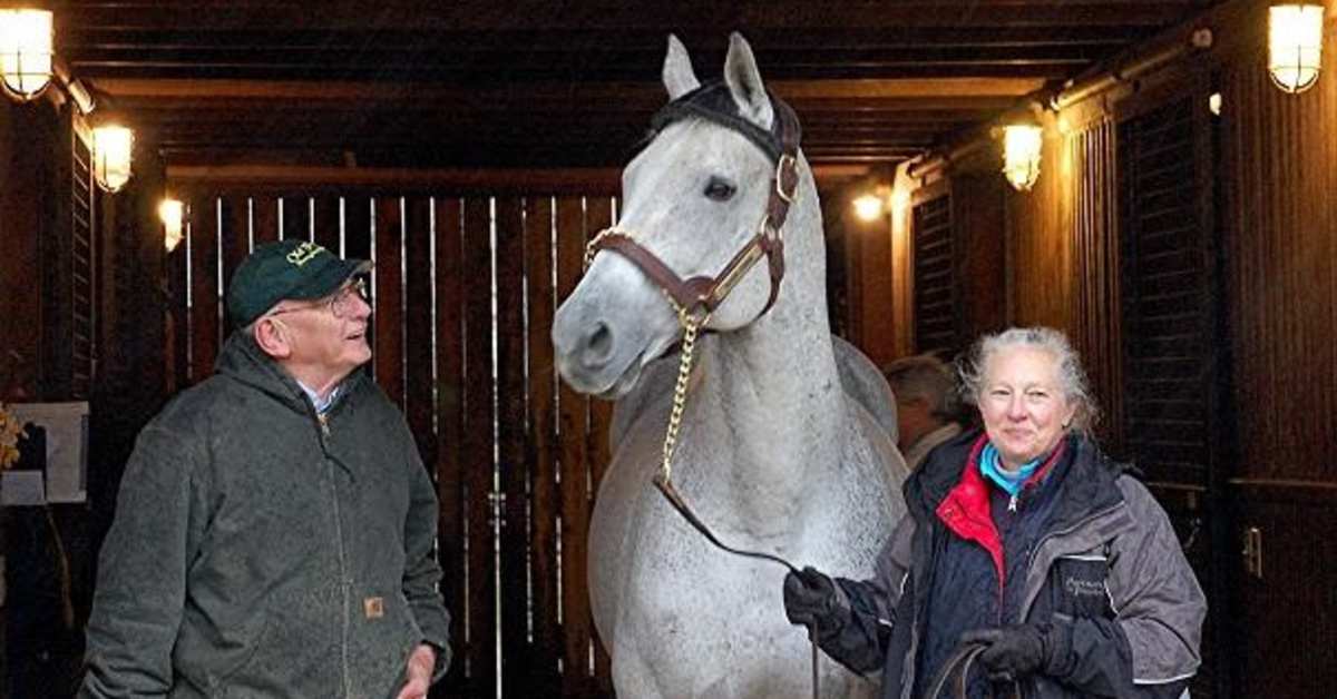 Researchers Discover Gene Variants Determine Which Gray Horses Dapple ...