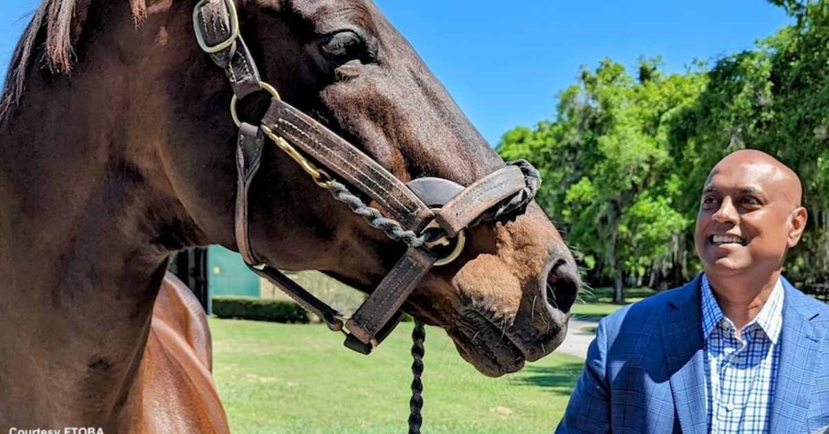 Tampa Business Leader Danny Persaud Expands New Vision For Woodford ...