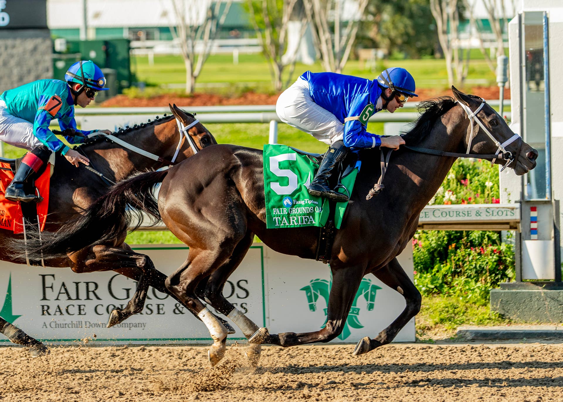 Tarifa Tabbed 7-2 Morning-Favorite For 150th Kentucky Oaks - Paulick ...