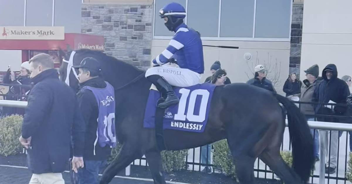 Endlessly Wins The Jeff Ruby Steaks - Paulick Report | Latest news and ...