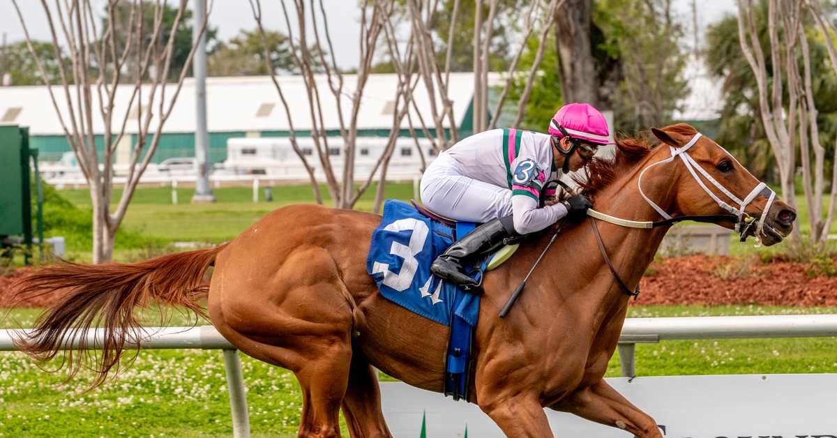 Fair Grounds: 'Cajun Queen' Ova Charged, Behemah Star Score Stakes Wins ...