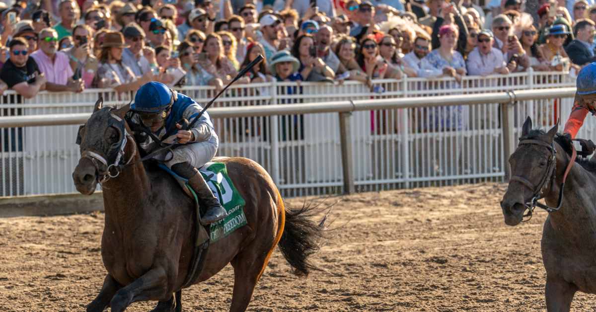 'He's Shown Us Enough': Catching Freedom Confirmed For Preakness ...