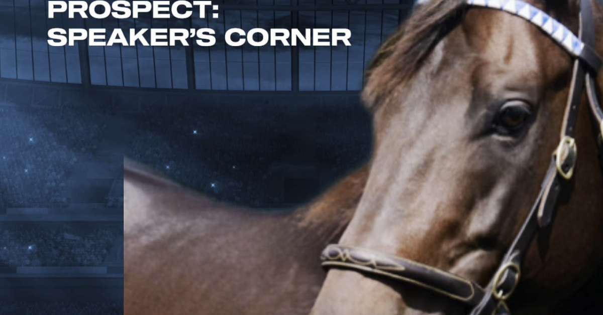Meet The 2023-24 All-Value Sire Team: Speaker's Corner - Paulick Report ...