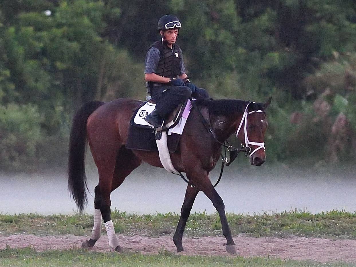 Fierceness Chases Return To Championship Form In Florida Derby ...
