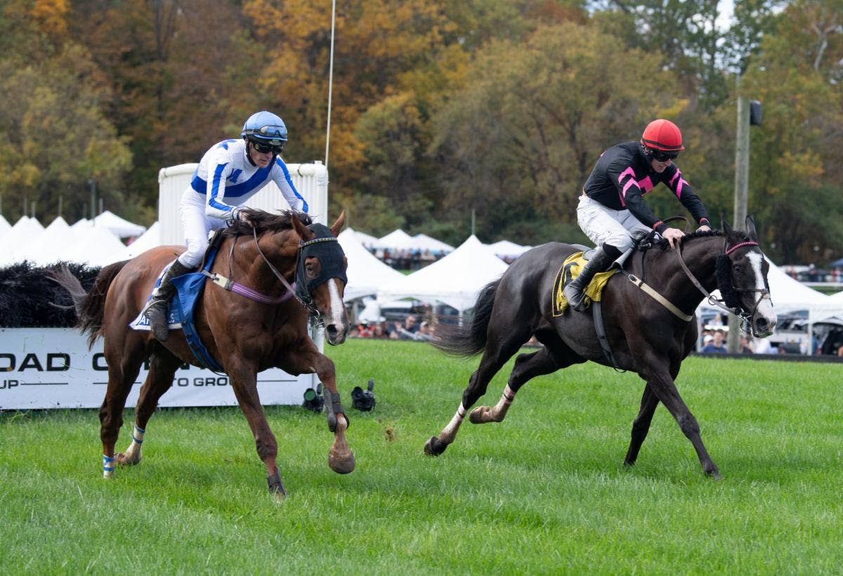 Steeplechase: Carolina Cup Tops Weekend Triple Header - Paulick Report ...