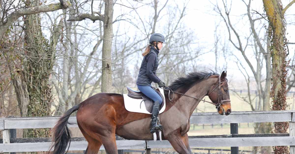 OTTB Training Toolkit Presented by Doc Lane's Veterinary Pharmacy: Troubleshooting The Canter ...