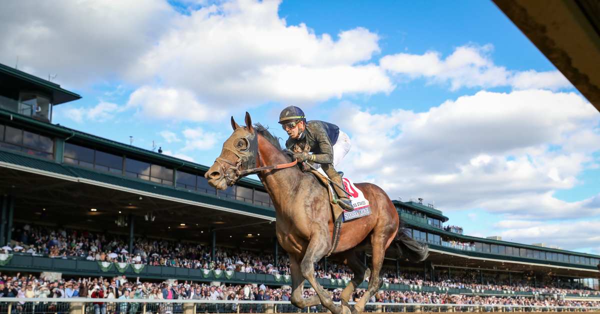 Kentucky Derby Pedigree Corner Presented By FanDuel Racing: Dornoch ...