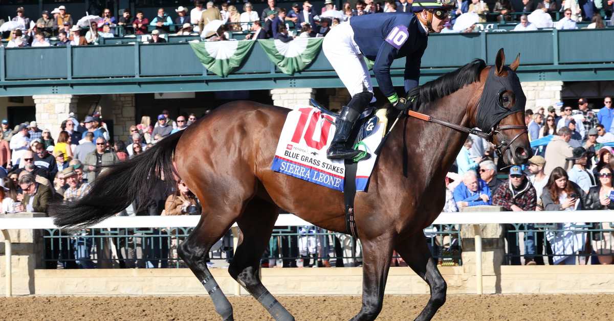 Sierra Leone Leads Chad Brown-Trained Breeders’ Cup Hopefuls On Belmont ...