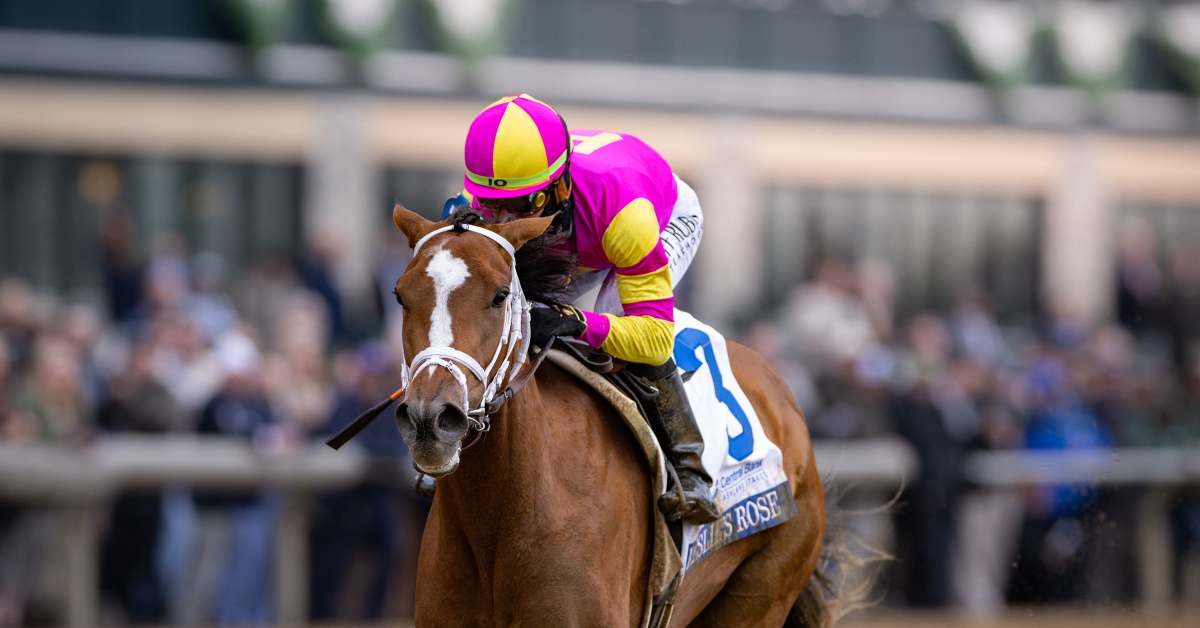 Leslie's Rose Makes 4-Year-Old Debut Sunday At Aqueduct - Paulick ...