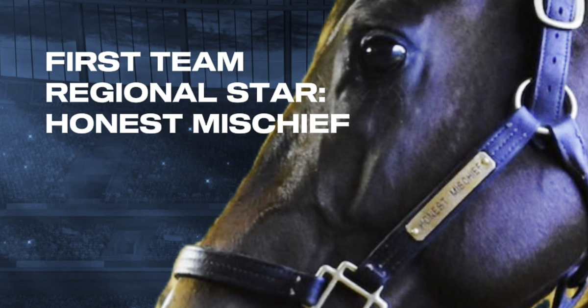 Meet The 2023-24 All-Value Sire Team: Honest Mischief - Paulick Report ...