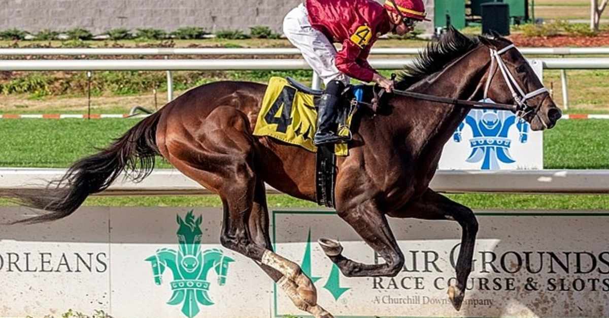 Just A Touch To Bid For Breakthrough Stakes Win In Fair Grounds ...