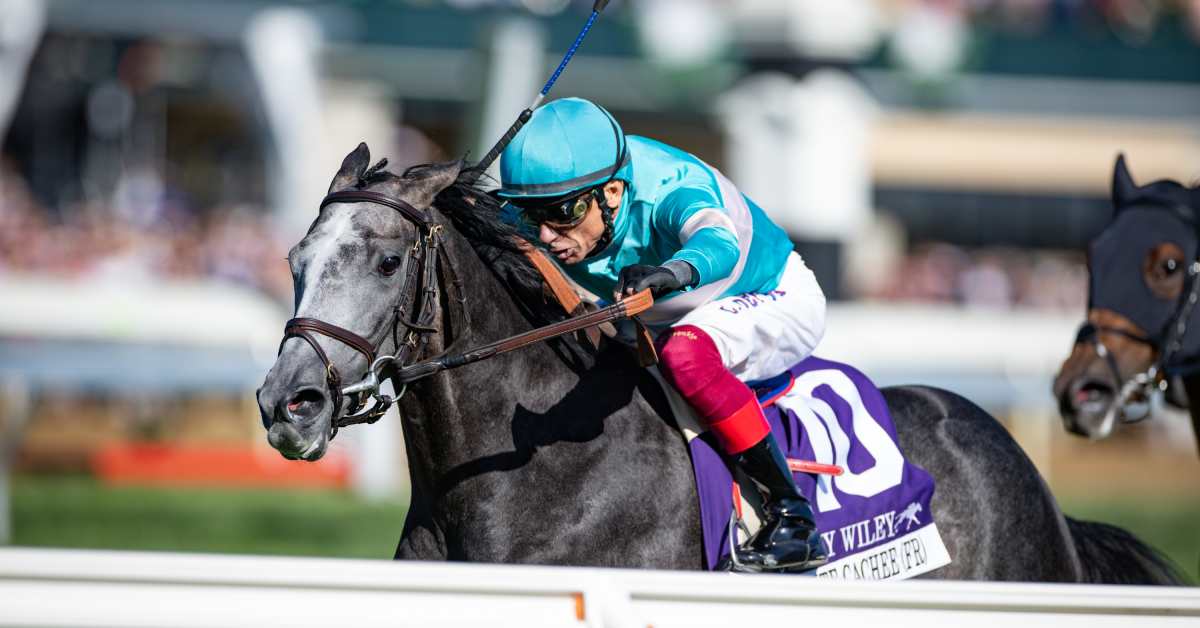 Beaute Cachee Takes Jenny Wiley On Front End In 25-1 Surprise - Paulick ...