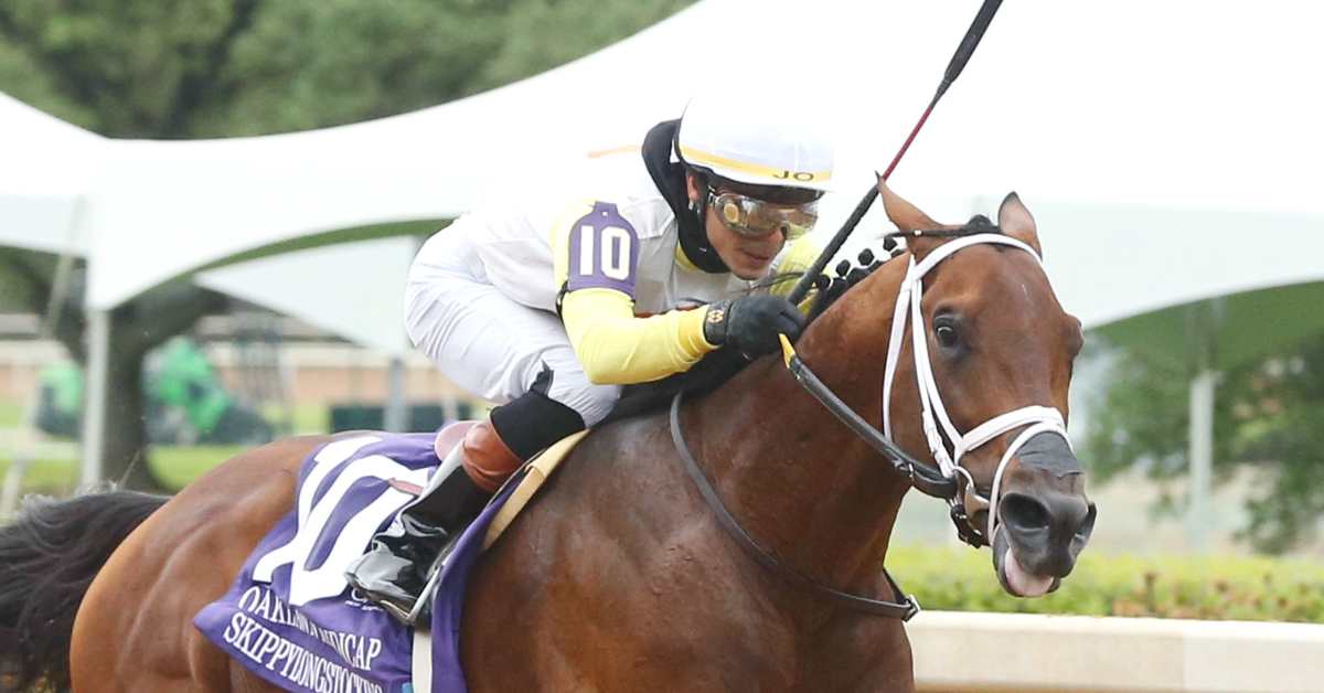 Saffie Joseph Jr.'s Breeders' Cup Possibles Skippylongstocking ...