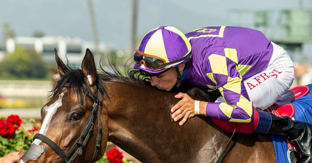 Medoro Returns To Her Favorite Track For Autumn Miss - Paulick Report ...