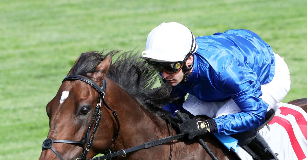 Silver Knott Caps Successful Keeneland Meet For Godolphin - Paulick ...