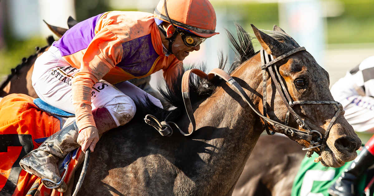 'She Showed Up Today': Coffee In Bed Makes The Grade In Santa Maria ...
