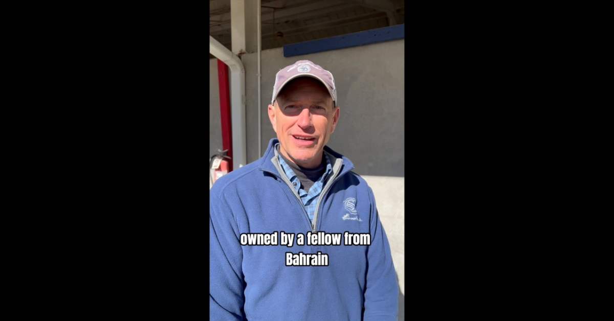 Lesson Horses Presented By University Of Arizona Racetrack Industry ...