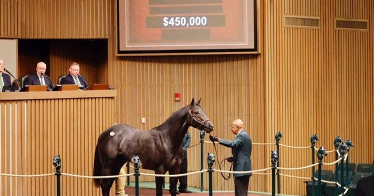 Keeneland's April All-Stars: Cheval De Guerre Was A Winning Parlay For ...