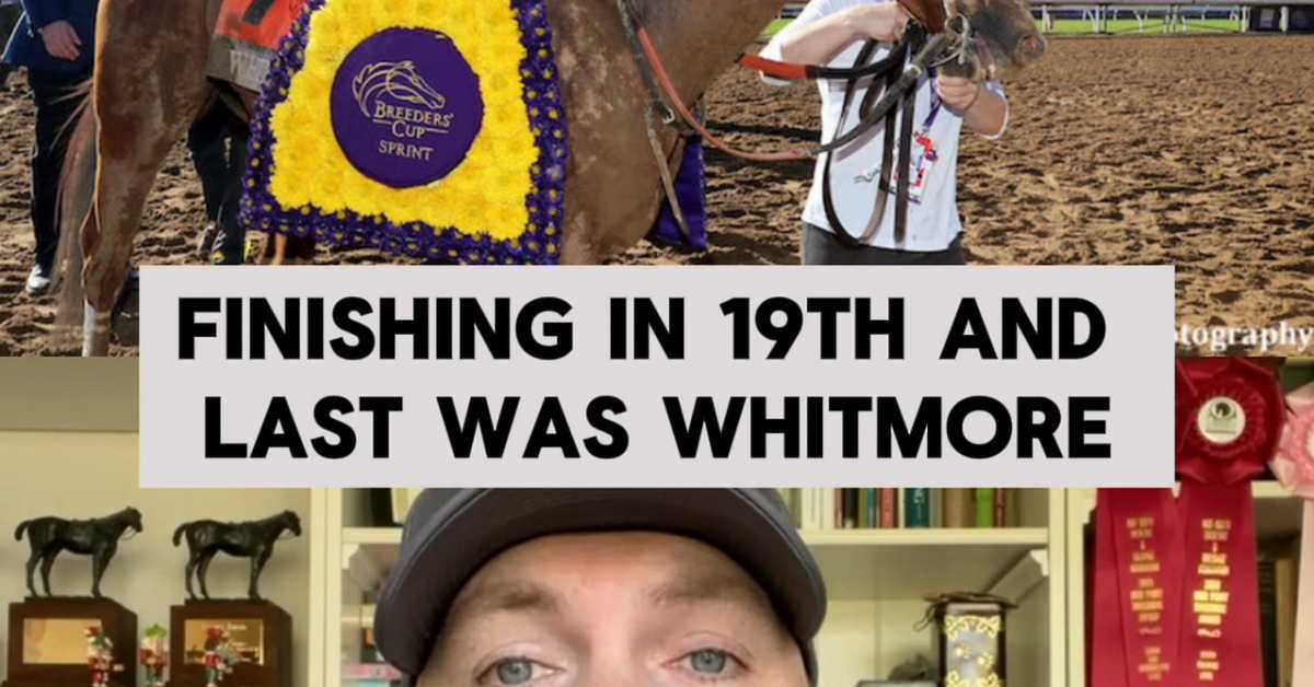 Where Are The Horses Of The 2016 Kentucky Derby Today? Presented By ...