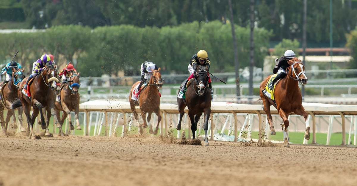 The Chosen Vron Prevails In Kona Gold To Land 16th Stakes Win - Paulick ...