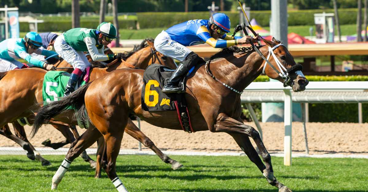 Visually Provides Trainer Barocio With Breakthrough Graded Win In ...